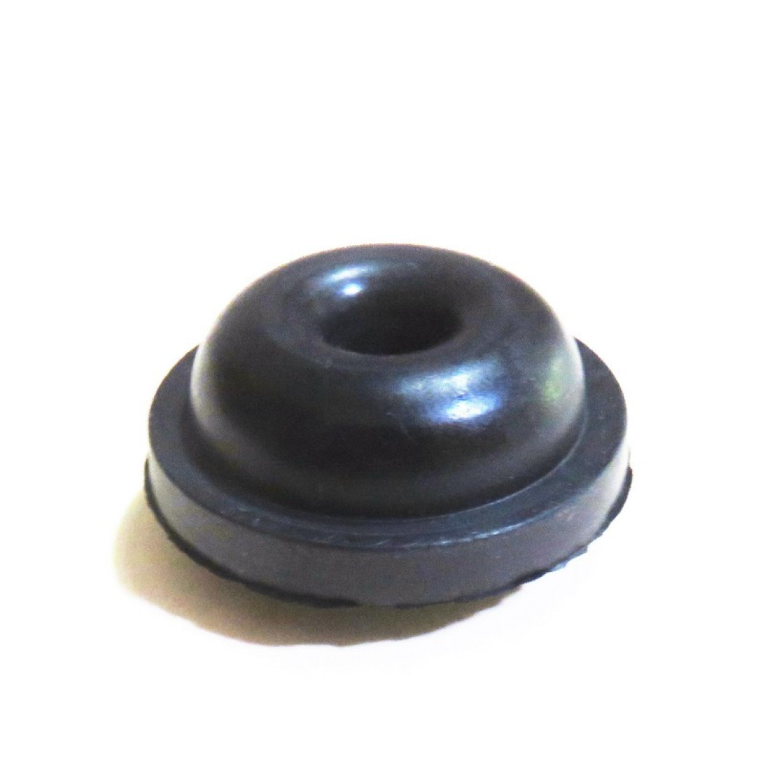 Fuel Pump Seal for pull-rod AC & Goss pumps [S65PE]